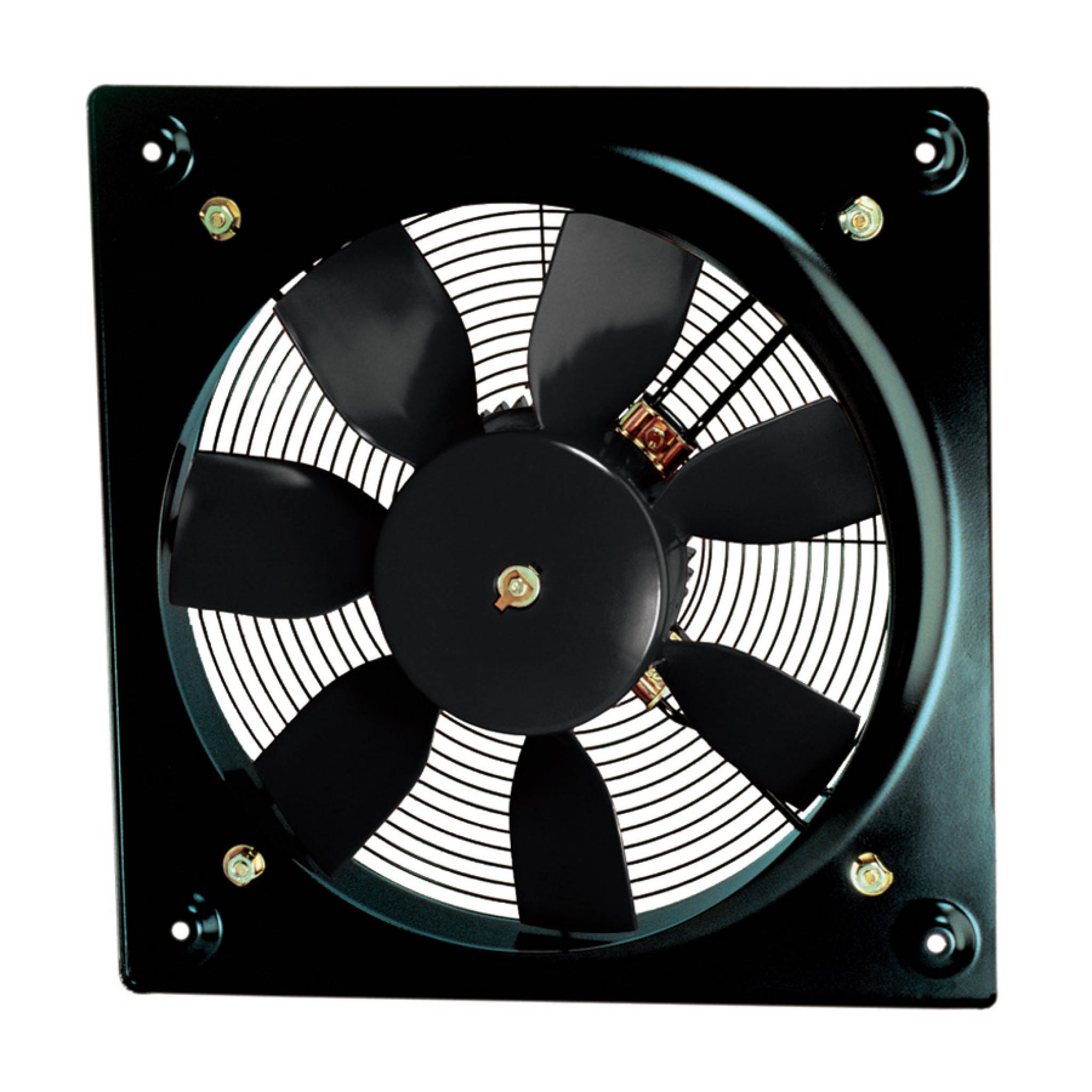 HCFB/HCFT – S&P – S&P